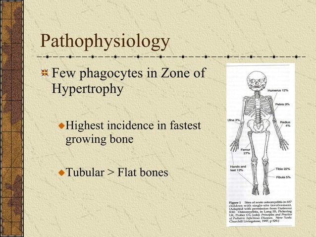 Osteomyelitis+in+Children | PPT | Bone and Joint Conditions | Diseases ...