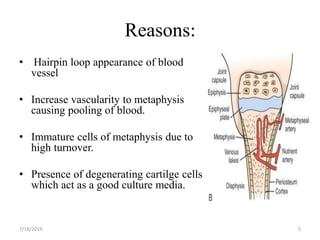 Osteomyelitis | PPTX