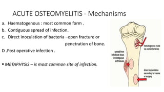 osteomyelitis ppt.pptx