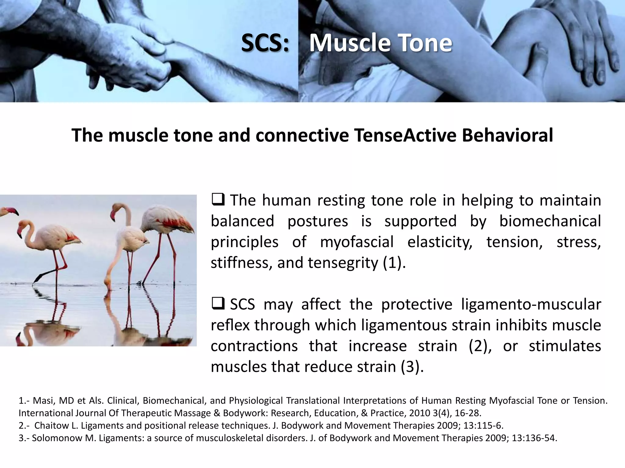 Osteopathic manipulative therapy (om th) revisited 2014 extremities | PPTX