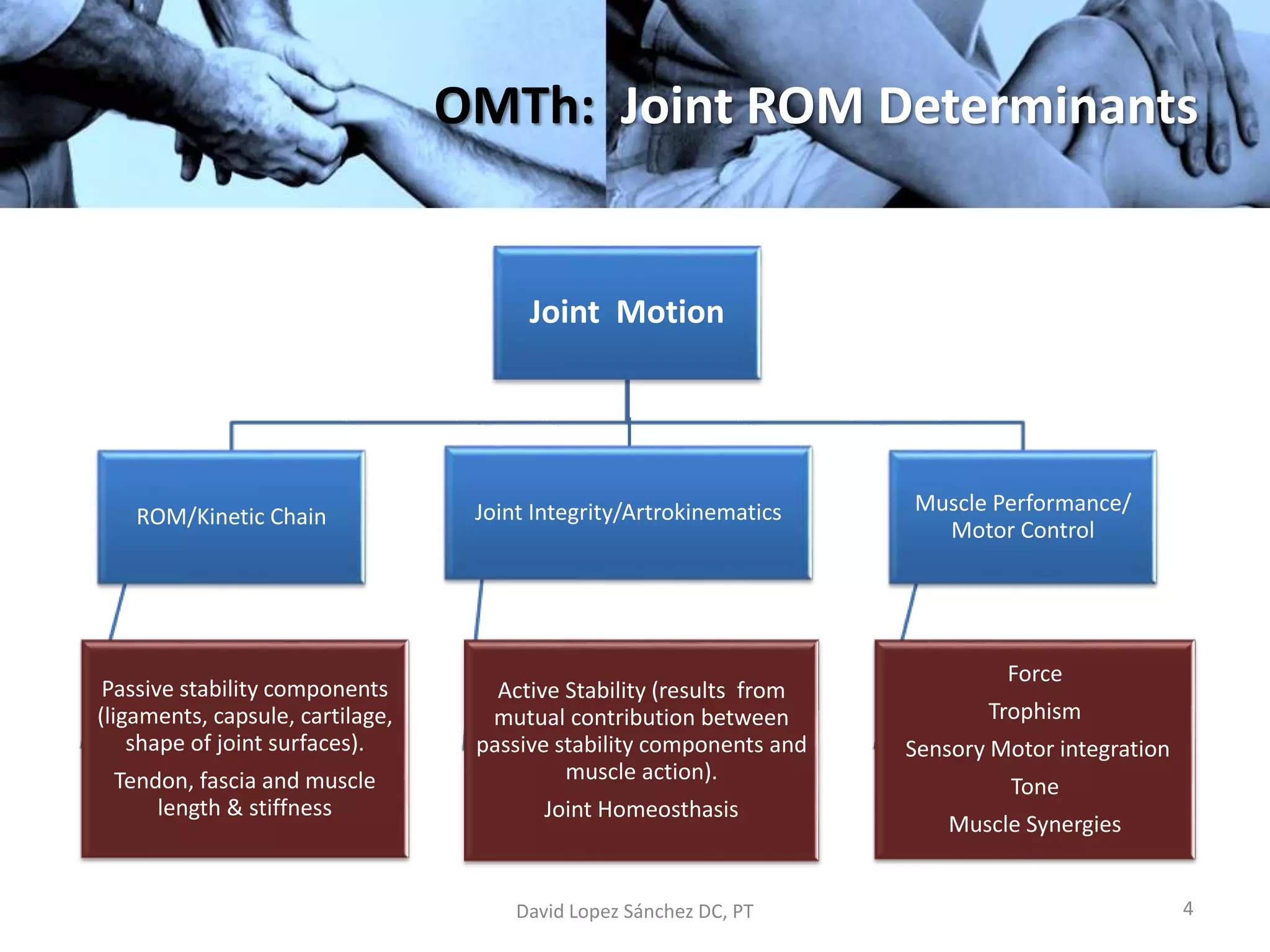 Osteopathic manipulative therapy (om th) revisited 2014 extremities | PPTX