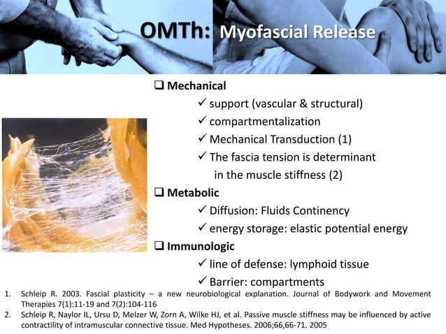 Osteopathic manipulative therapy (om th) revisited 2014 extremities ...