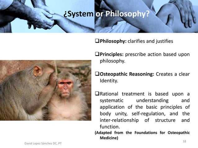 Osteopathic manipulative therapy (om th) revisited 2014 extremities ...