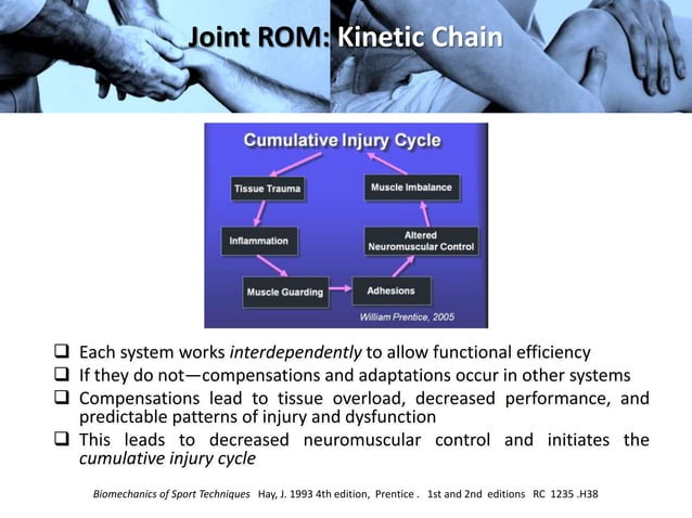 Osteopathic manipulative therapy (om th) revisited 2014 extremities ...