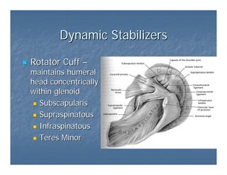 Osteopatia do ombro | PPT