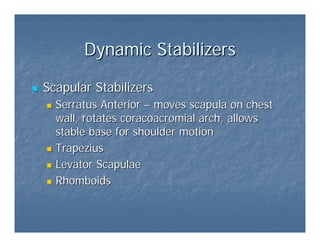 Osteopatia do ombro | PPT | Free Download