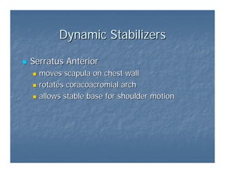 Osteopatia do ombro | PPT | Free Download