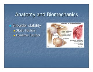 Osteopatia do ombro | PPT | Free Download