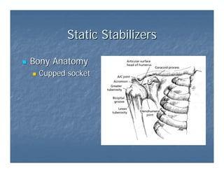 Osteopatia do ombro | PPT