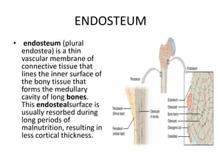 Osteopetrosis(albergs schoberg disease | PPTX
