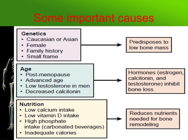 Osteoporosis diet and control | PPT | Bone and Joint Conditions | Diseases and Conditions