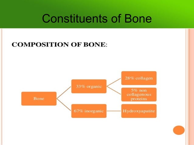 Osteoporosis diet and control | PPT | Bone and Joint Conditions | Diseases and Conditions