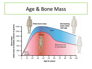 Osteoporosis | PPT