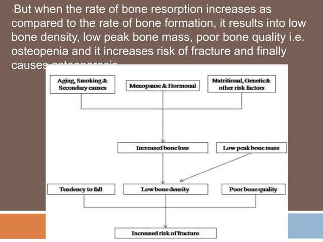 Osteoporosis | PPTX | Endocrine and Metabolic Diseases | Diseases and Conditions