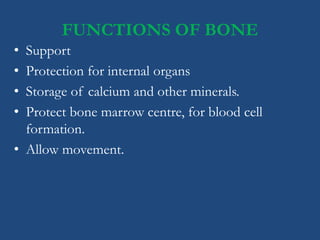 Osteoporosis, diagnosis and management | PPTX | Bone and Joint ...