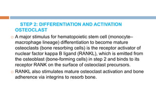 Osteoporosis ppt | PPTX