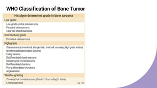 Osteosarcoma.pdf