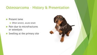 Osteosarcoma presentation | PPTX