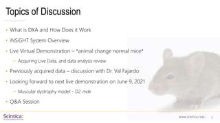 Live Virtual Demonstration iNSiGHT Preclinical DXA system for in vivo ...