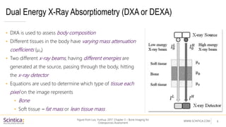 Live Virtual Demonstration iNSiGHT Preclinical DXA system for in vivo ...