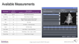 Preclinical DXA for in vivo body composition and bone mineral density ...