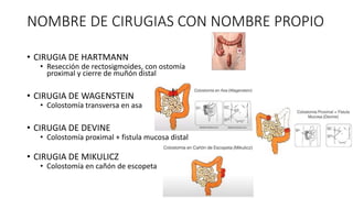 OSTOMIAS Y DEFINICIONES GENERALES.pptx