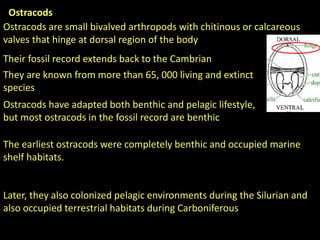 ostracods introduction and morphology types | PDF