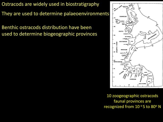 ostracods introduction and morphology types | PDF | Fish and Aquariums ...
