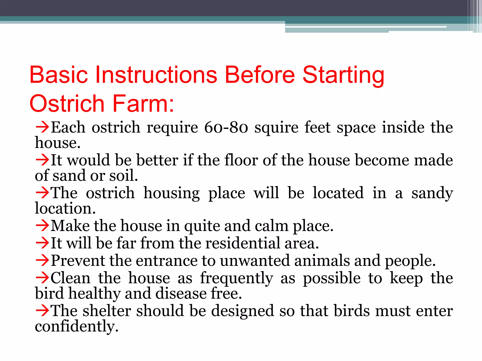 Ostrich Farming |Management, Benefits, Scope | PDF