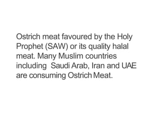 Ostrich farming | PPTX