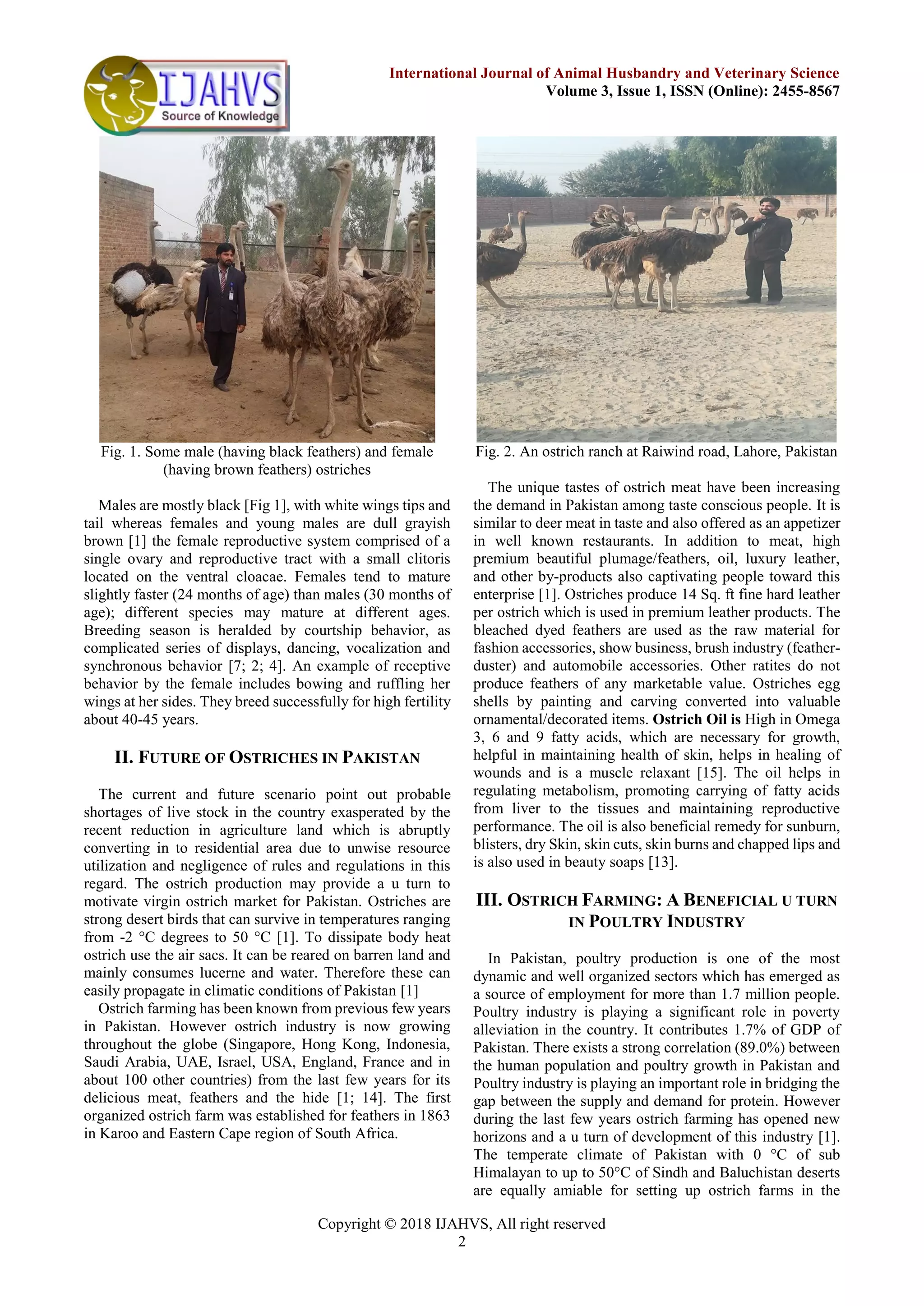 Ostrich farming in pakistan | PDF