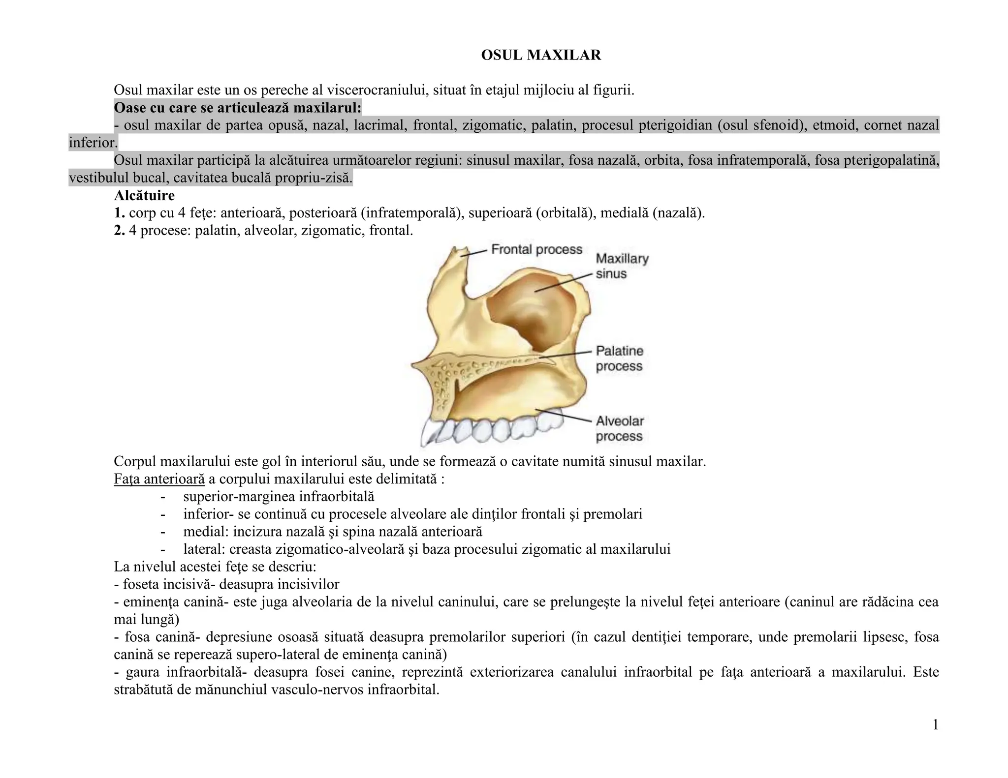 osul maxilar.doc