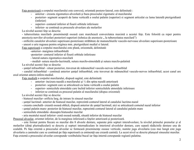 osul maxilar.doc
