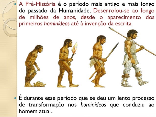 O surgimento dos seres humanos