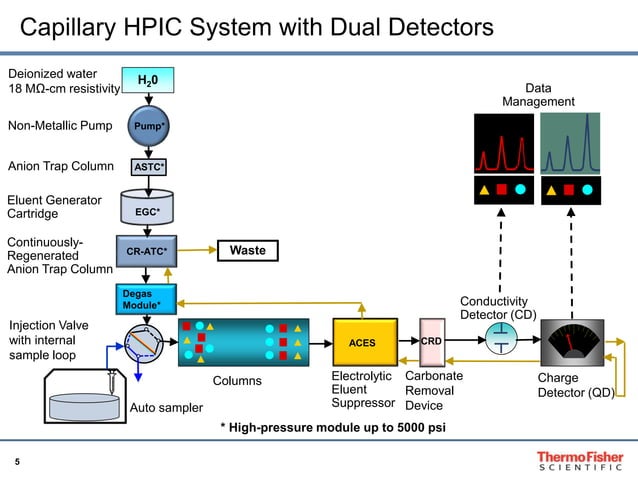 Determination of Common Counterions and Impurity Anions in ...