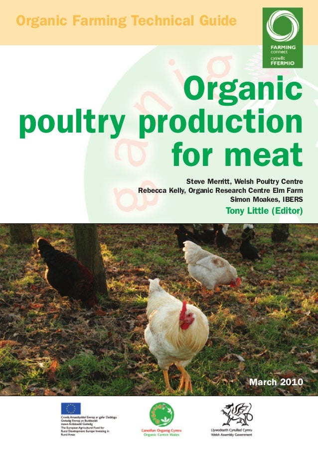 Organic Poultry Production ~ Wales United Kingdom