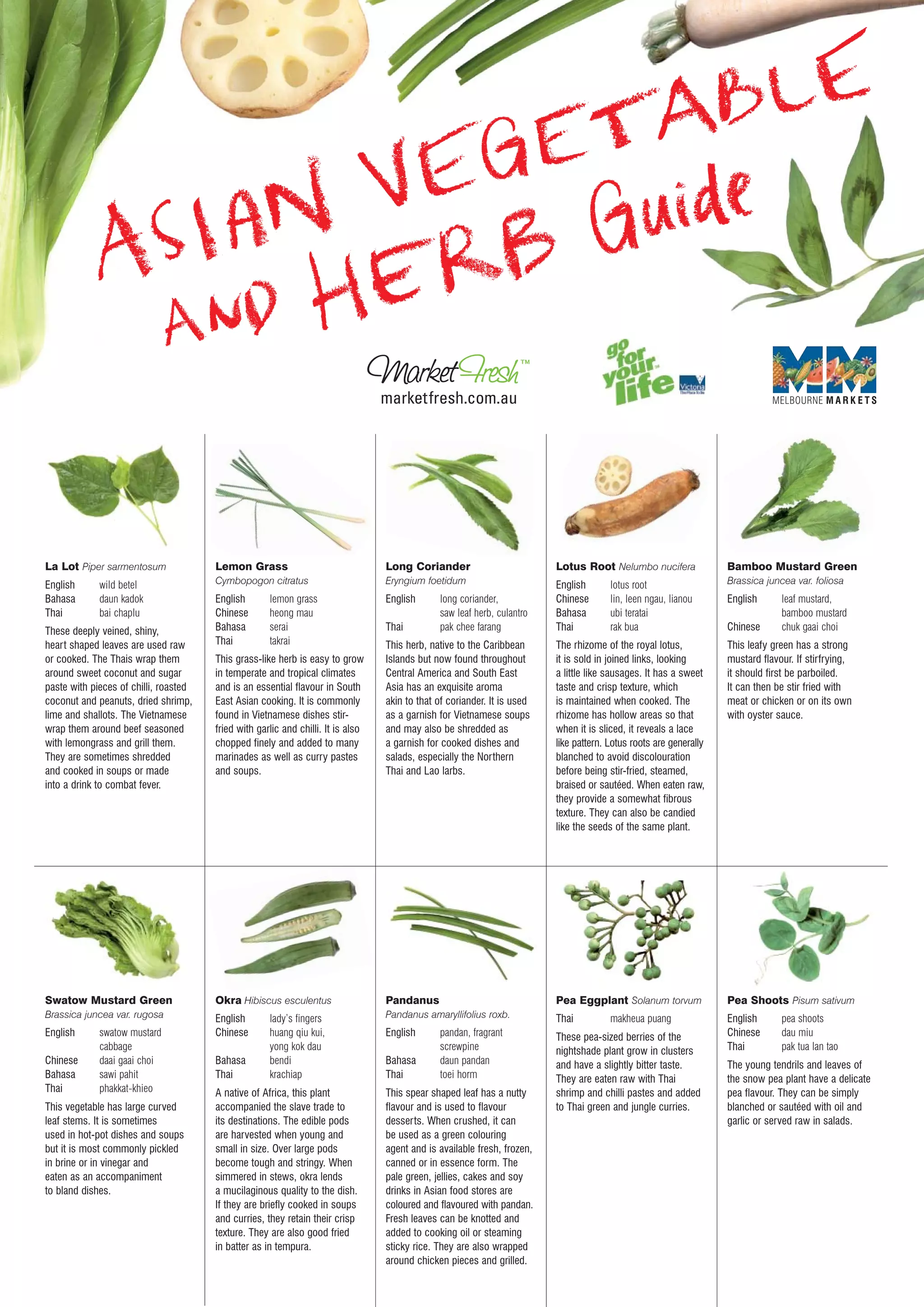 Growing Asian Vegetables & Herbs Organically ~ Geelong, Australia | PDF