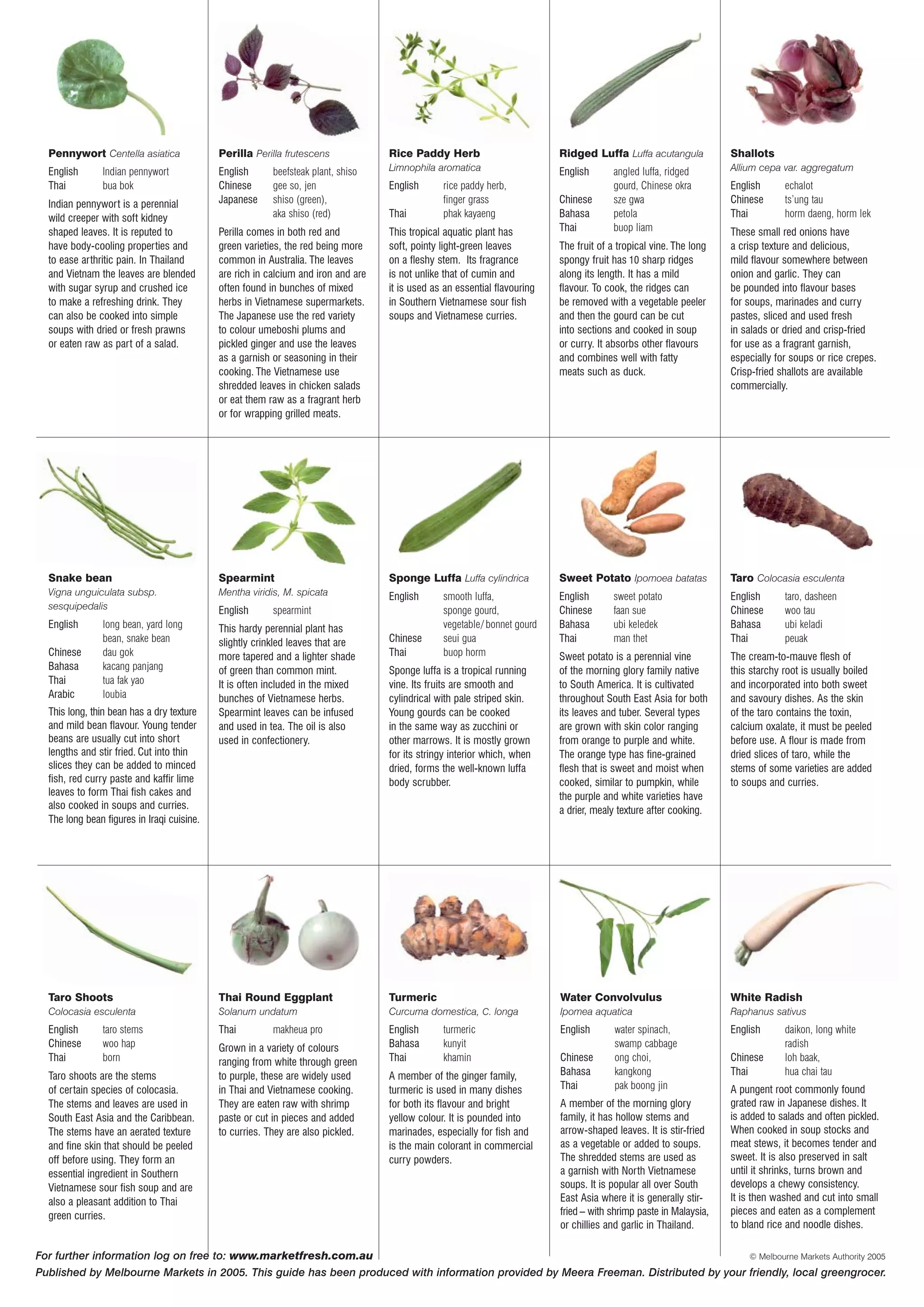 Growing Asian Vegetables & Herbs Organically ~ Geelong, Australia | PDF