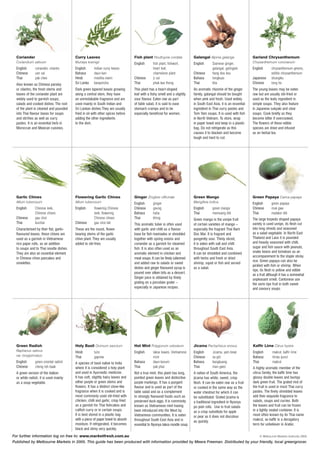 Growing Asian Vegetables & Herbs Organically ~ Geelong, Australia | PDF