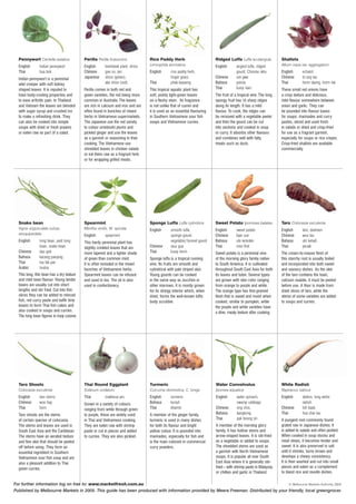 Growing Asian Vegetables & Herbs Organically ~ Geelong, Australia | PDF