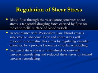 244 importance of vascular remodelling | PPT