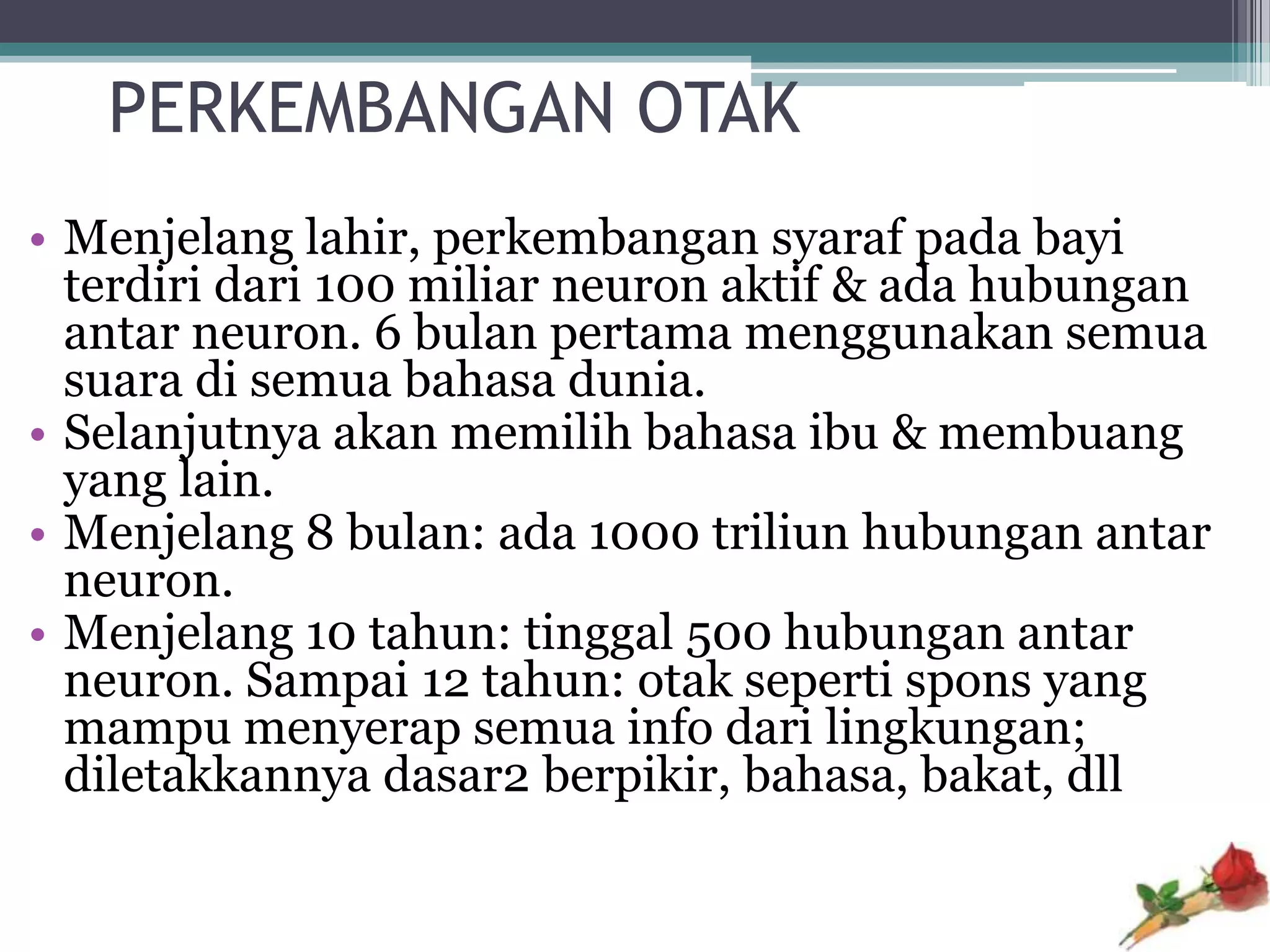 Otak | PPTX