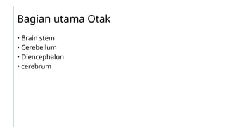 struktur system anatomy saraf pusat otak | PPTX