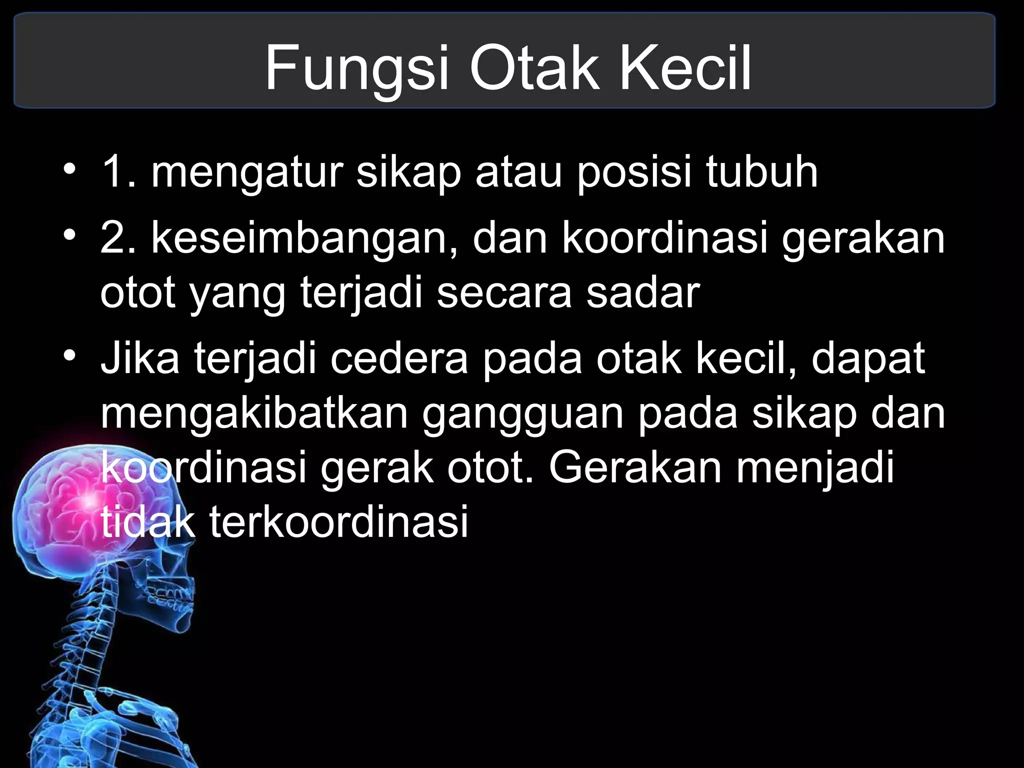 Otak besar,otak kecil,otak tengah,dan sumsum tulang belakang | PPT