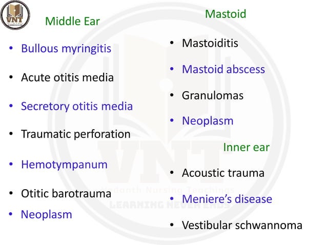 Otalgia | PPTX | Ear, Nose and Throat Conditions | Diseases and Conditions