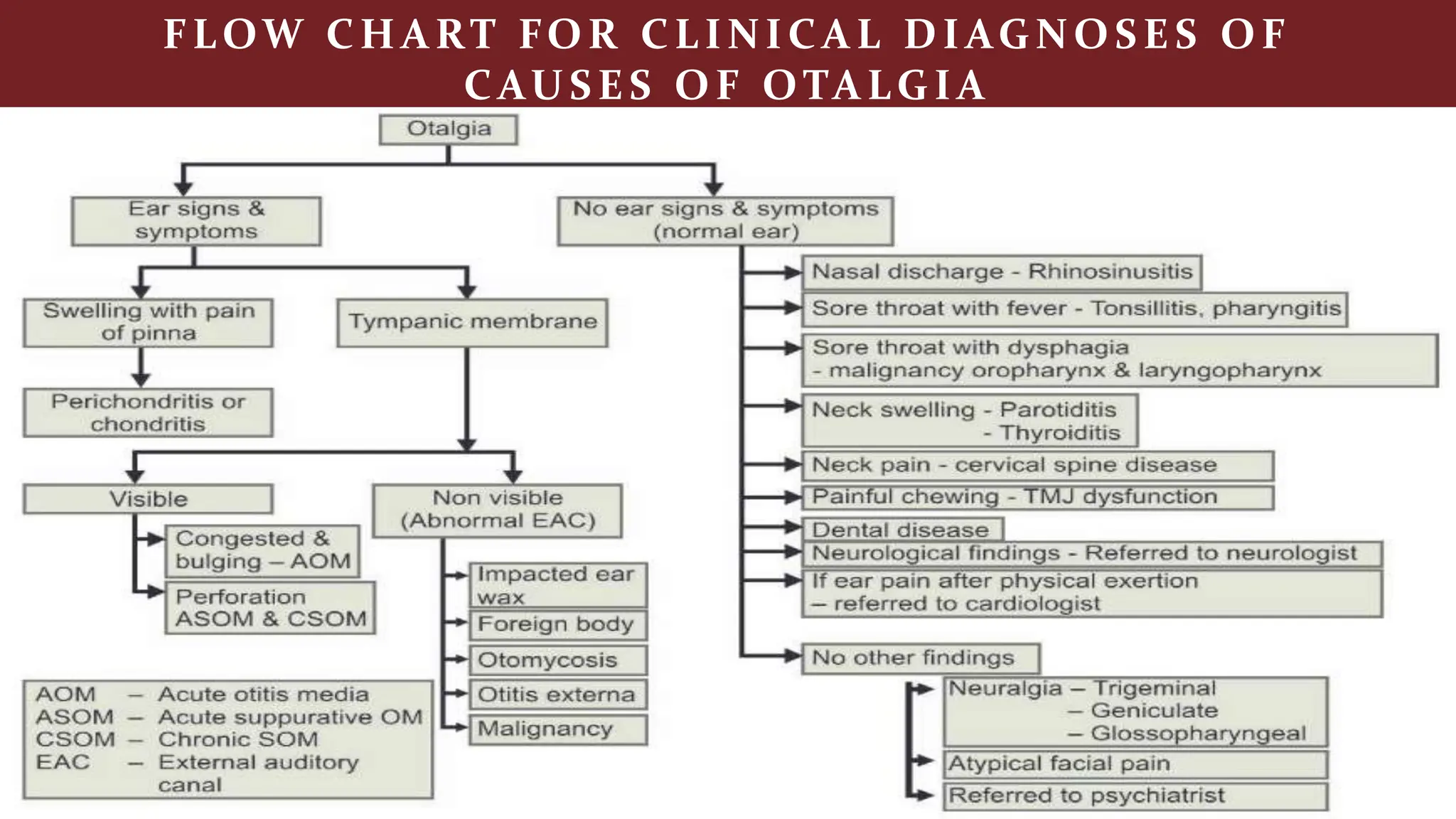 OTALGIA (कर्णशूल) ENT PPT- पीयूष रॉयल.pptx