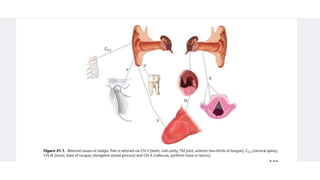 Otalgia | Ear pain | Earache | Complete lecture | कर्णशूल | #ent | PPTX