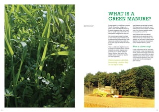 Sort Out Your Soil - Guide to Green Manures | PDF