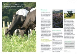 Sort Out Your Soil - Guide to Green Manures | PDF