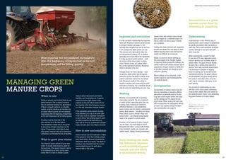 Sort Out Your Soil - Guide to Green Manures | PDF